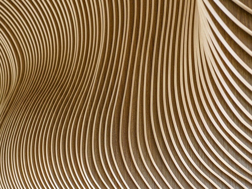 Plywood - Multiplacas