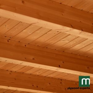 Multiplacas - Especialistas em contraplacados e madeiras nórdicas